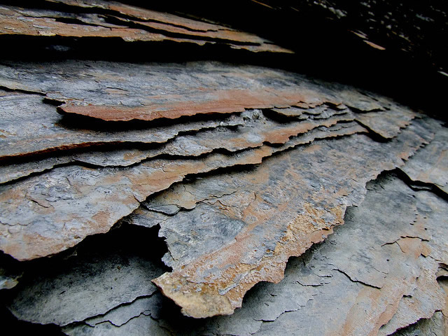 Shale Rock